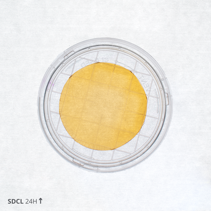 Contamination Control: How Ossila Laminar Flow Hoods Perform