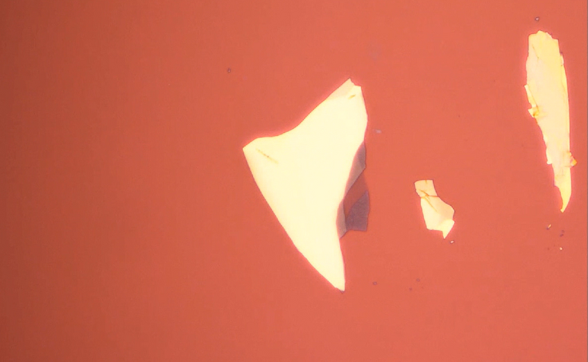 Viscoelastic transfer of 2D material using PDMS | Ossila