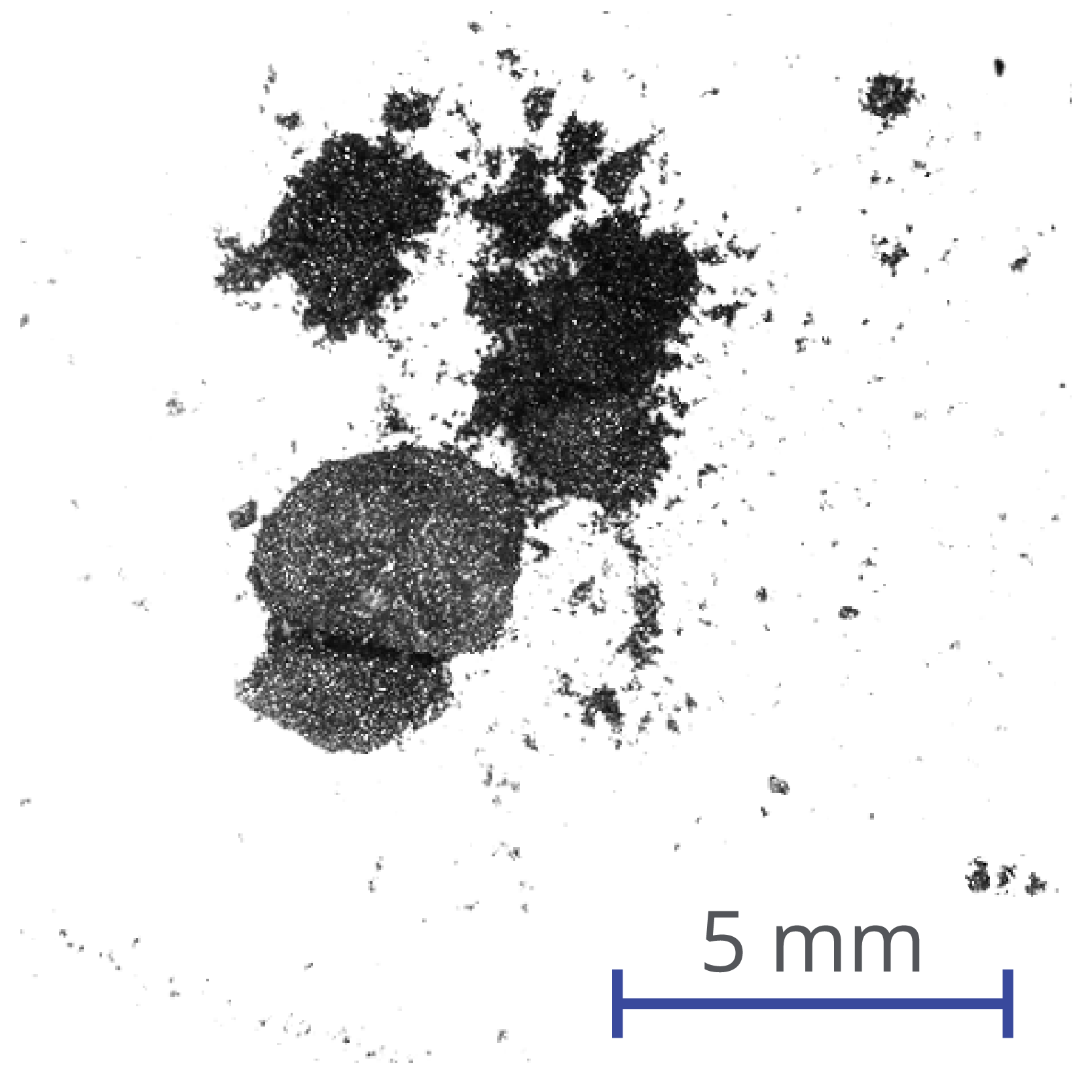 Molybdenum Sulfide Selenide (MoSSe) Powder | CAS 132004-88-7 | Ossila