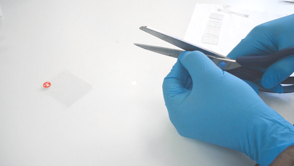 Viscoelastic transfer of 2D material using PDMS | Ossila