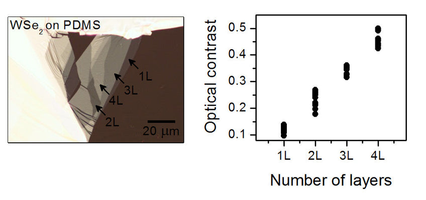 Viscoelastic transfer of 2D material using PDMS | Ossila