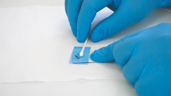 Viscoelastic transfer of 2D material using PDMS | Ossila